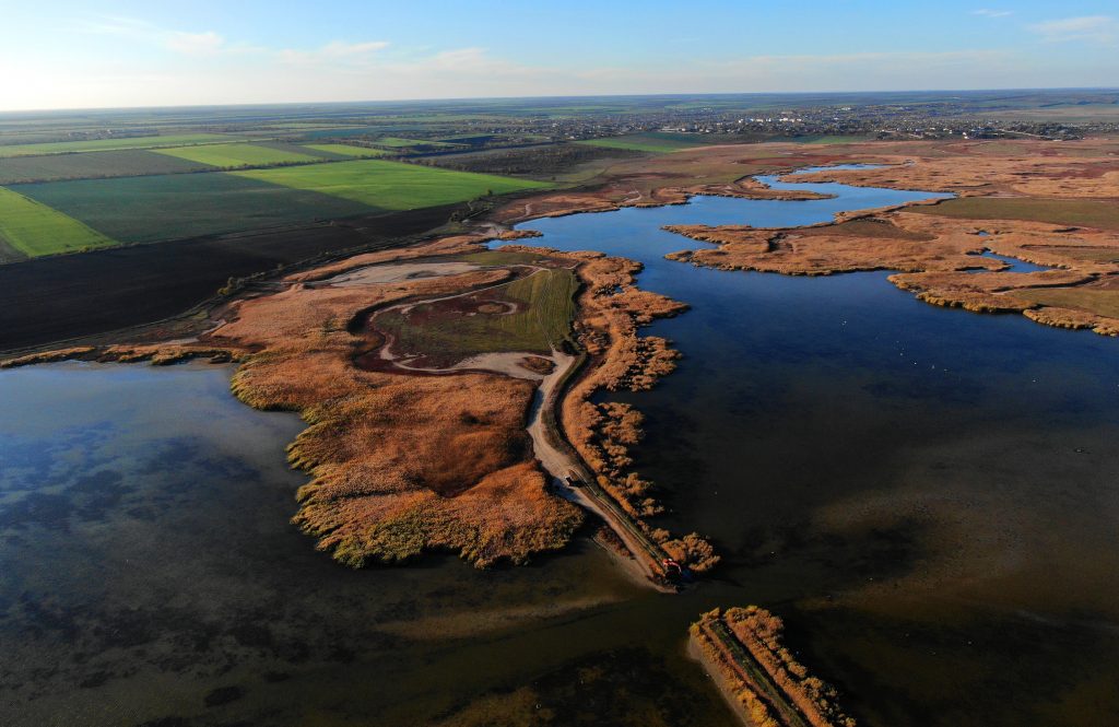 Dam removal boosts rewilding efforts in the Ukrainian Danube Delta ...