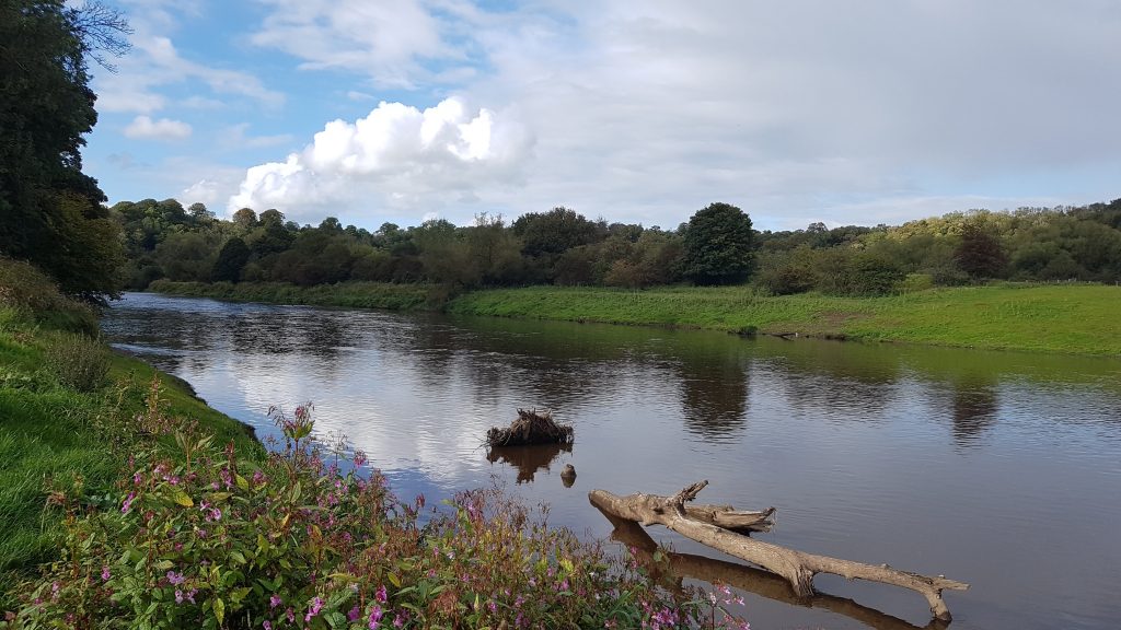 Samlesbury Weir, Ribble River, UK - Dam Removal Europe