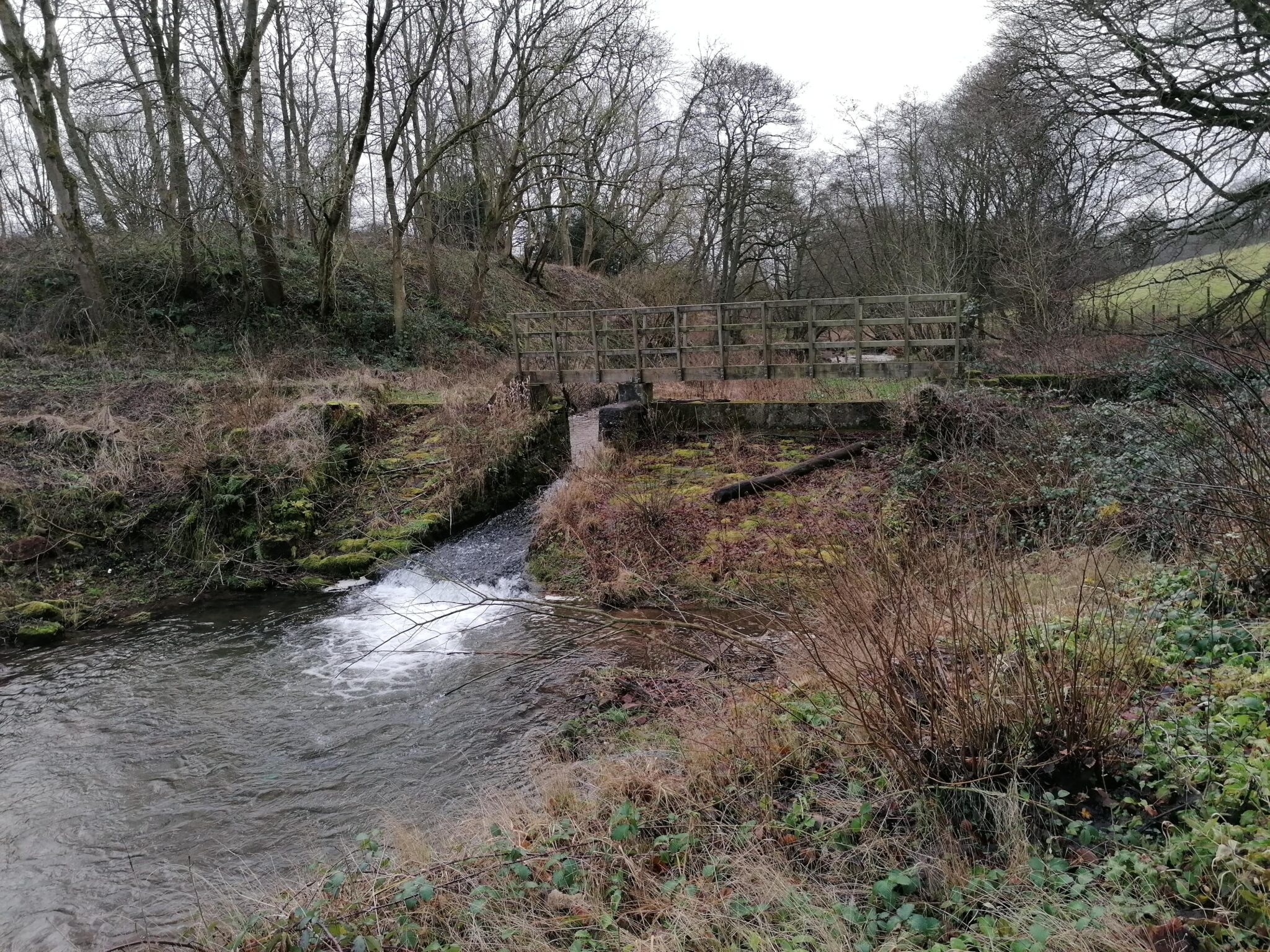 Removal Gateside Mills Weir: Fish Migration Restored case study