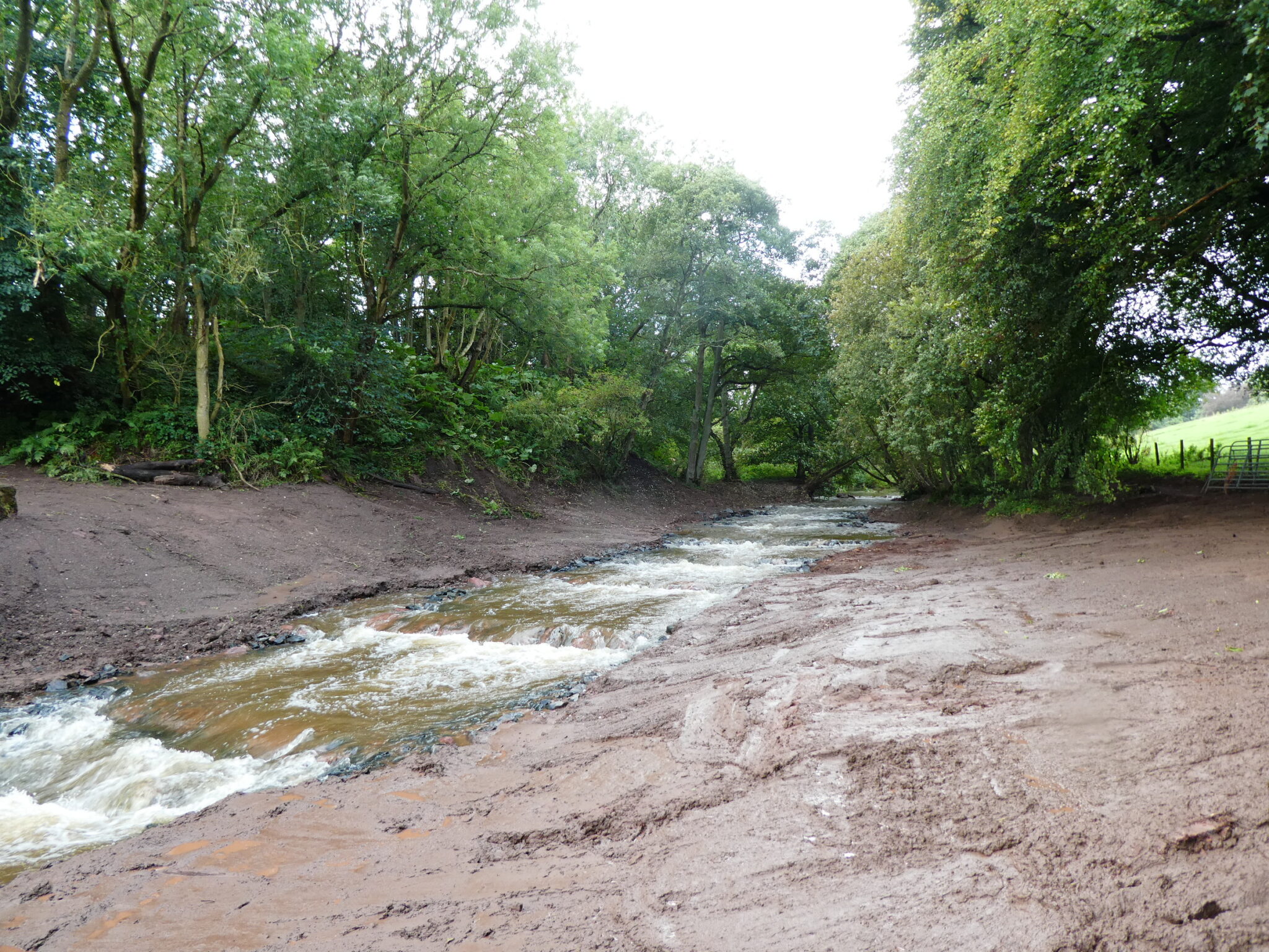 Removal Gateside Mills Weir: Fish Migration Restored case study
